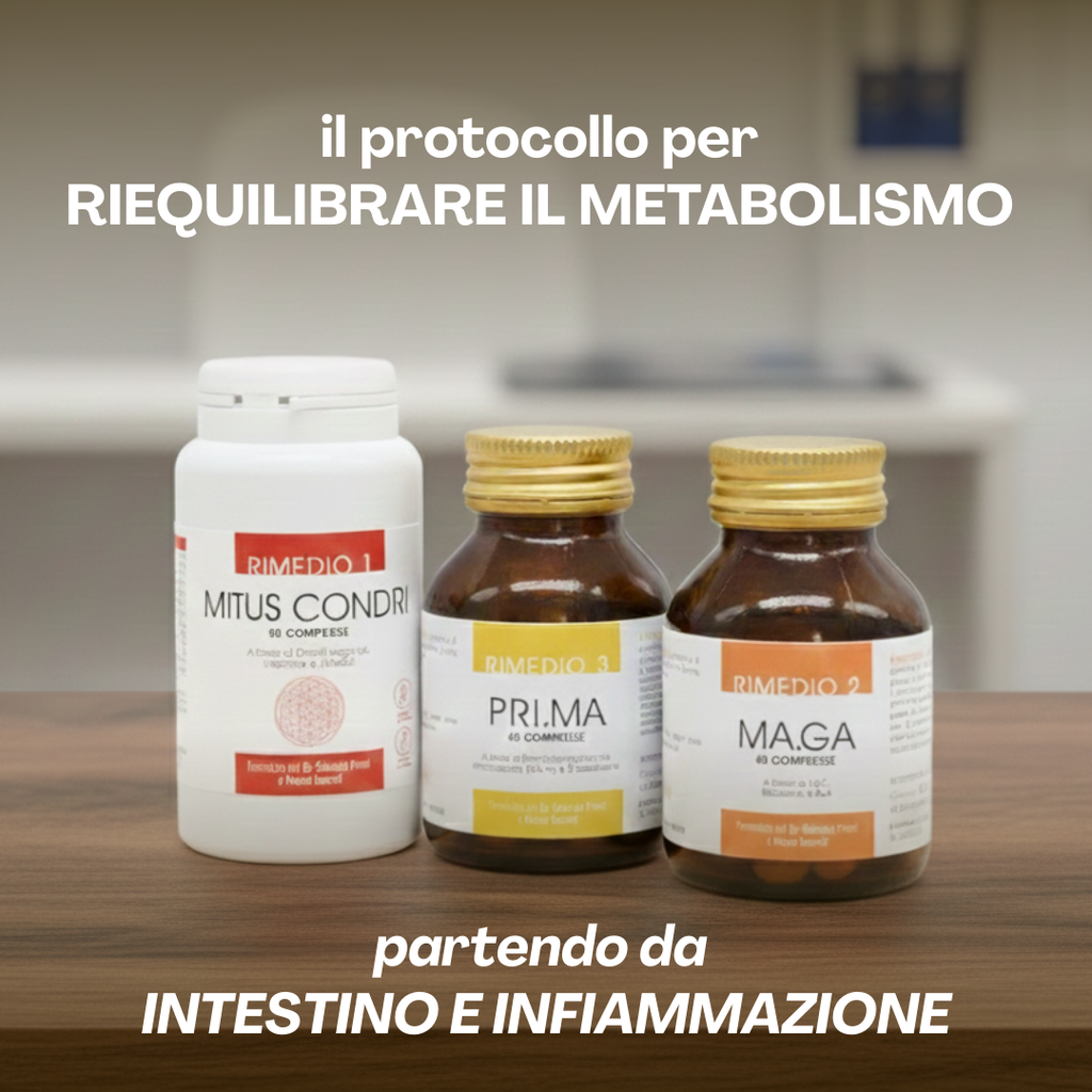 Protocollo per Intestino e Metabolismo | Dottor Prinzi – Emporio nel Bosco